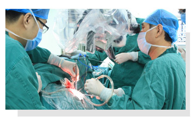 探头夹持器_内镜夹持器_可调节蛇形夹持器-3618医疗器械网